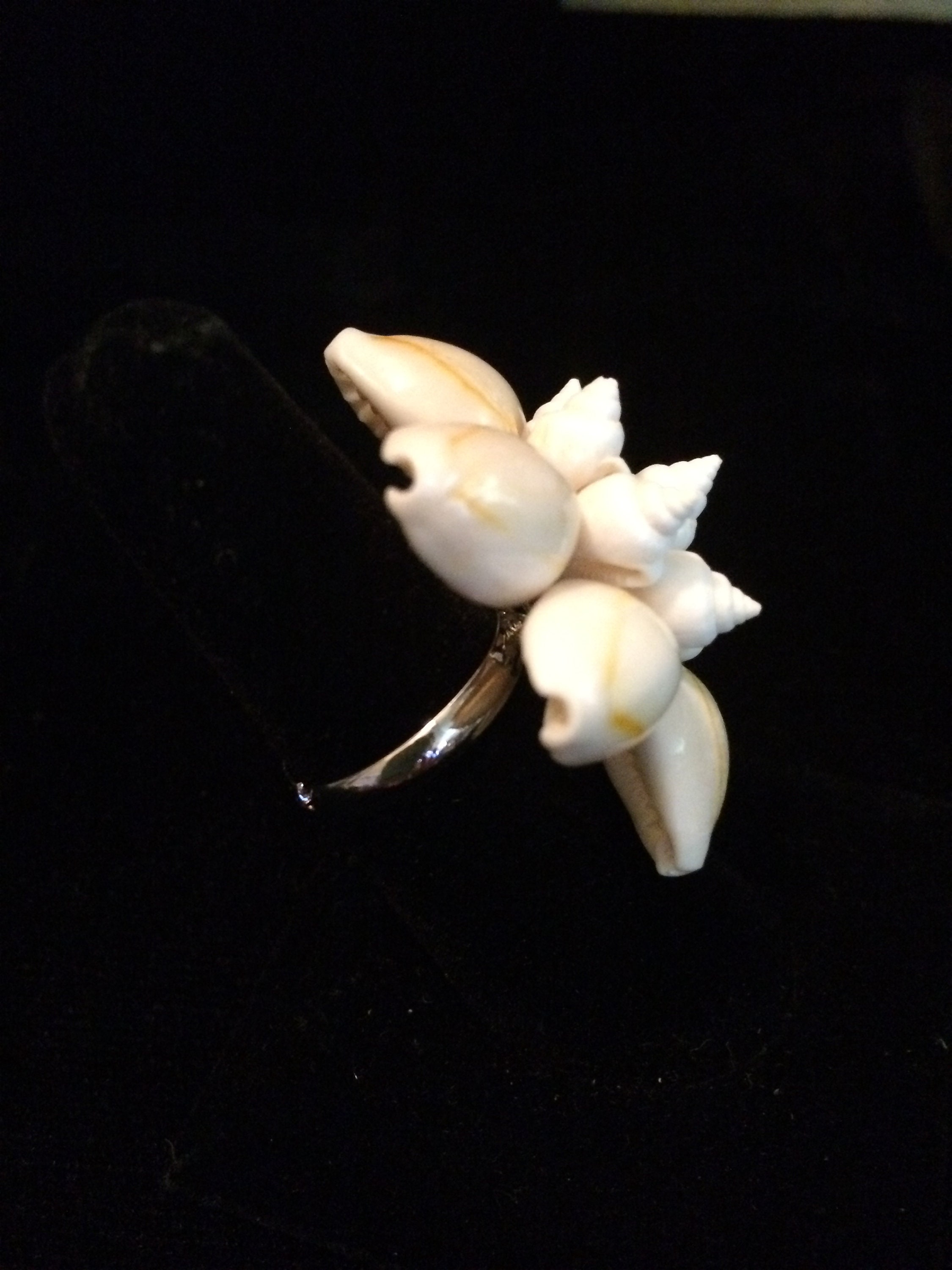 Dovetail & Yellow Cowry Shell Jewel SetShell JewelryMonarchy | Etsy