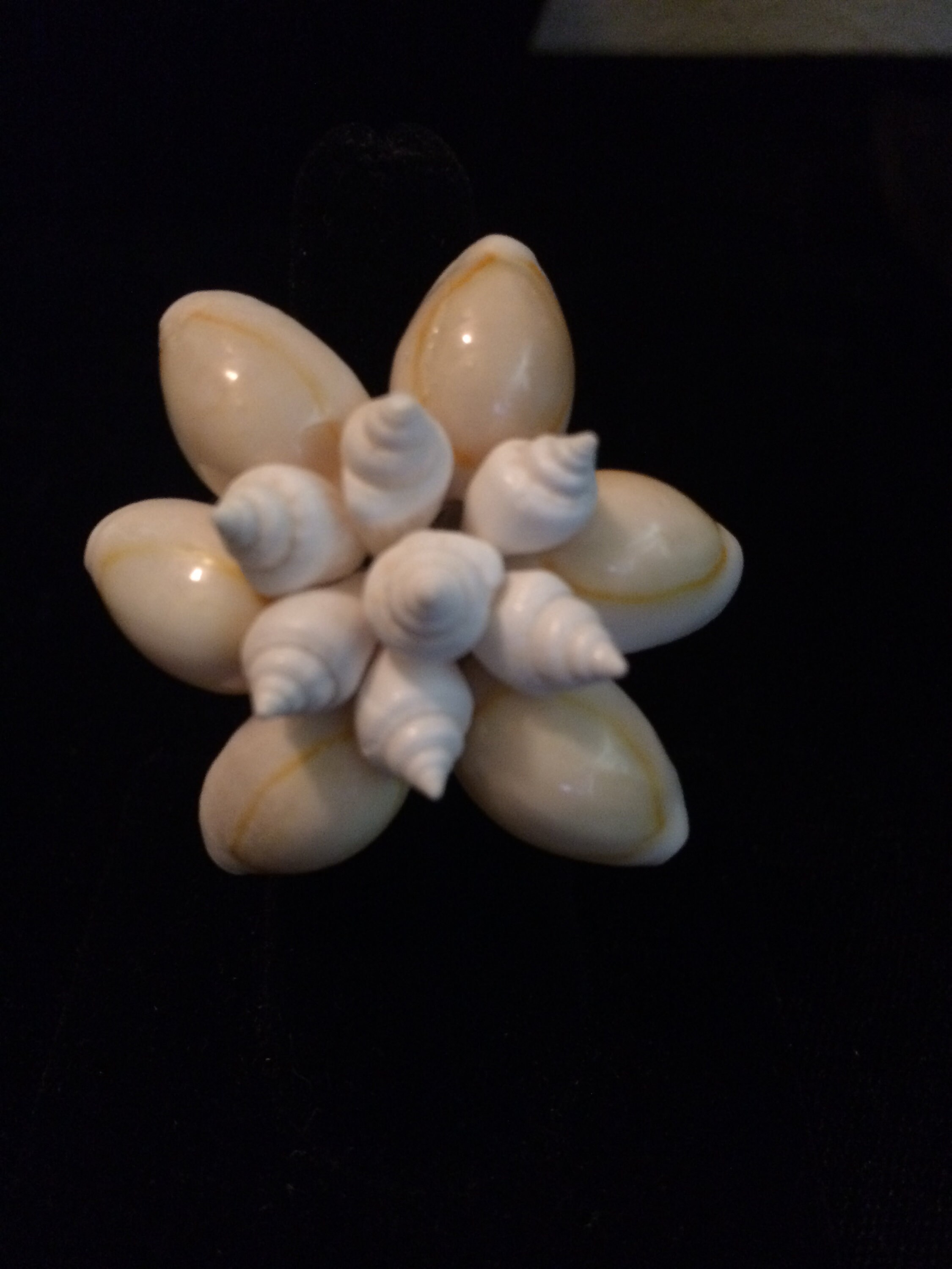 Buy Dovetail & Yellow Cowry Shell Jewel Set,shell Jewelry,monarchy ...