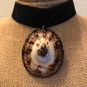 Multi-choice Opihi ( Limpet ) Shell Chokers,one of A Kind Opihi Shells ...