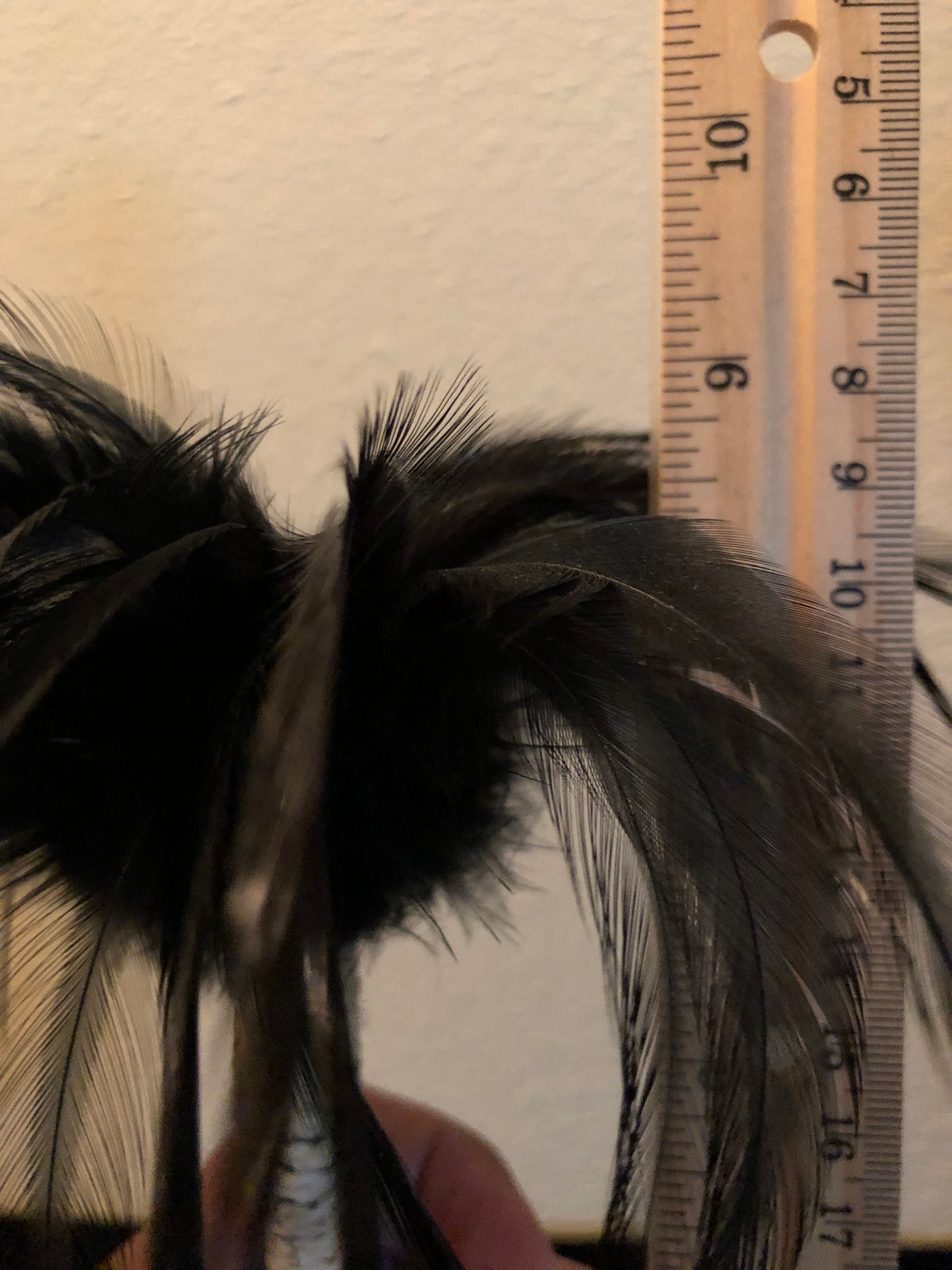 Natural Black Tarantula Rooster Neck Feather Hair Pick | Etsy