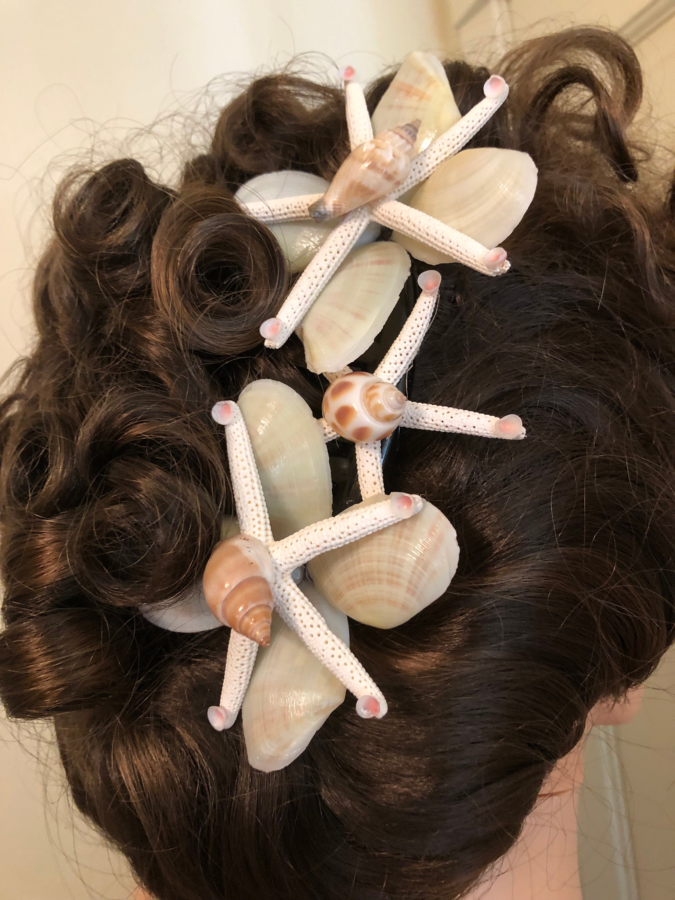 Clam Shell Butterfly French Hair Comb,hair Trinkets,vintage Clam Shell ...