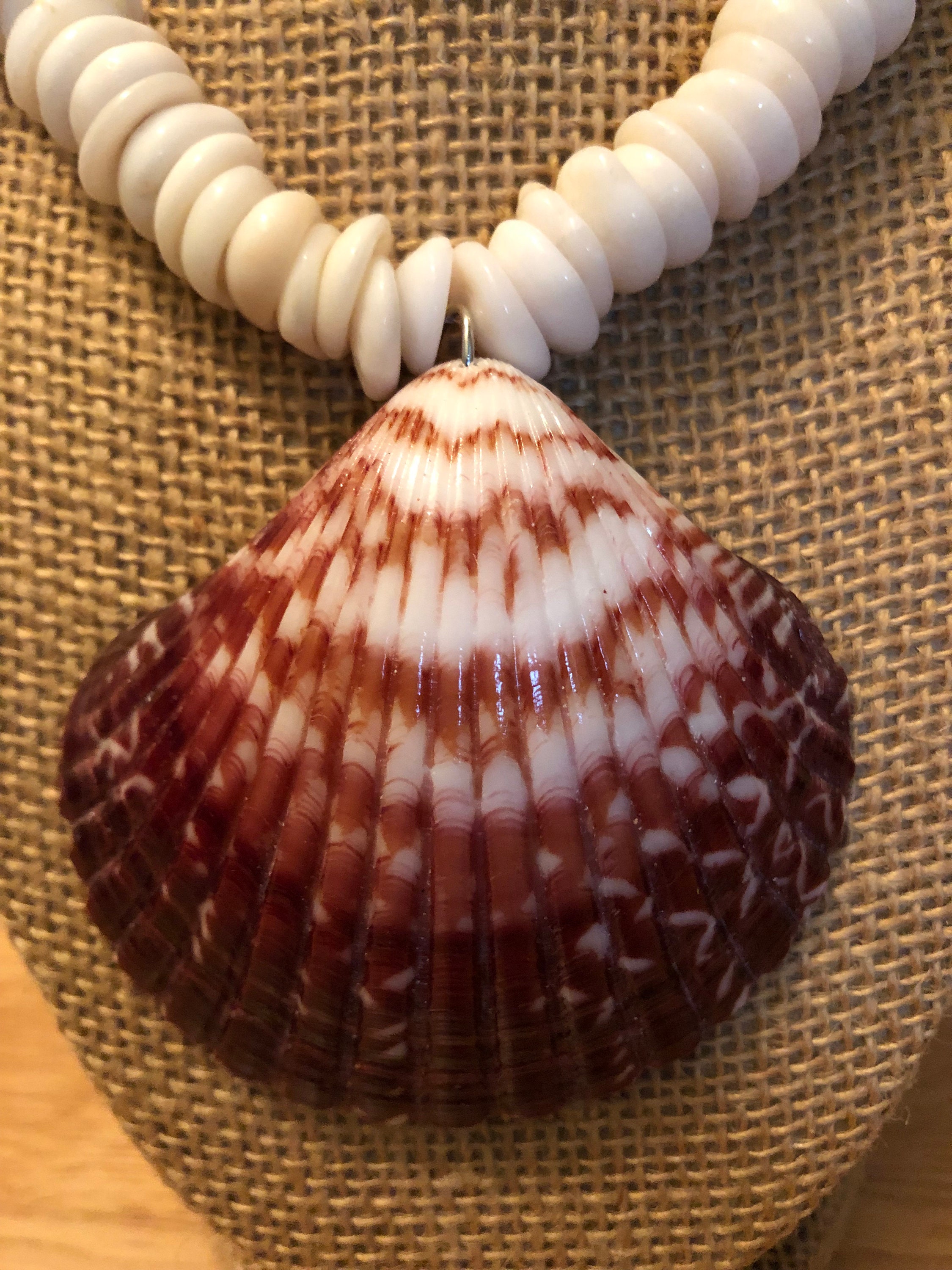XL Opihi Shell Necklace/lg Clam Shell Necklaceshell - Etsy