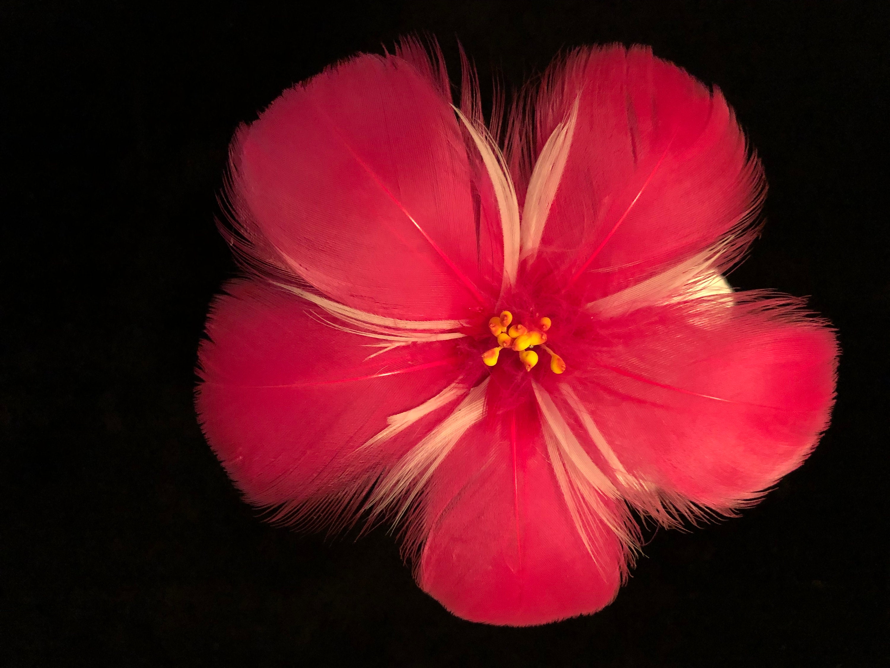 Fuschia Pink Hibiscus Feather Flower Earpickfuschia Pink - Etsy