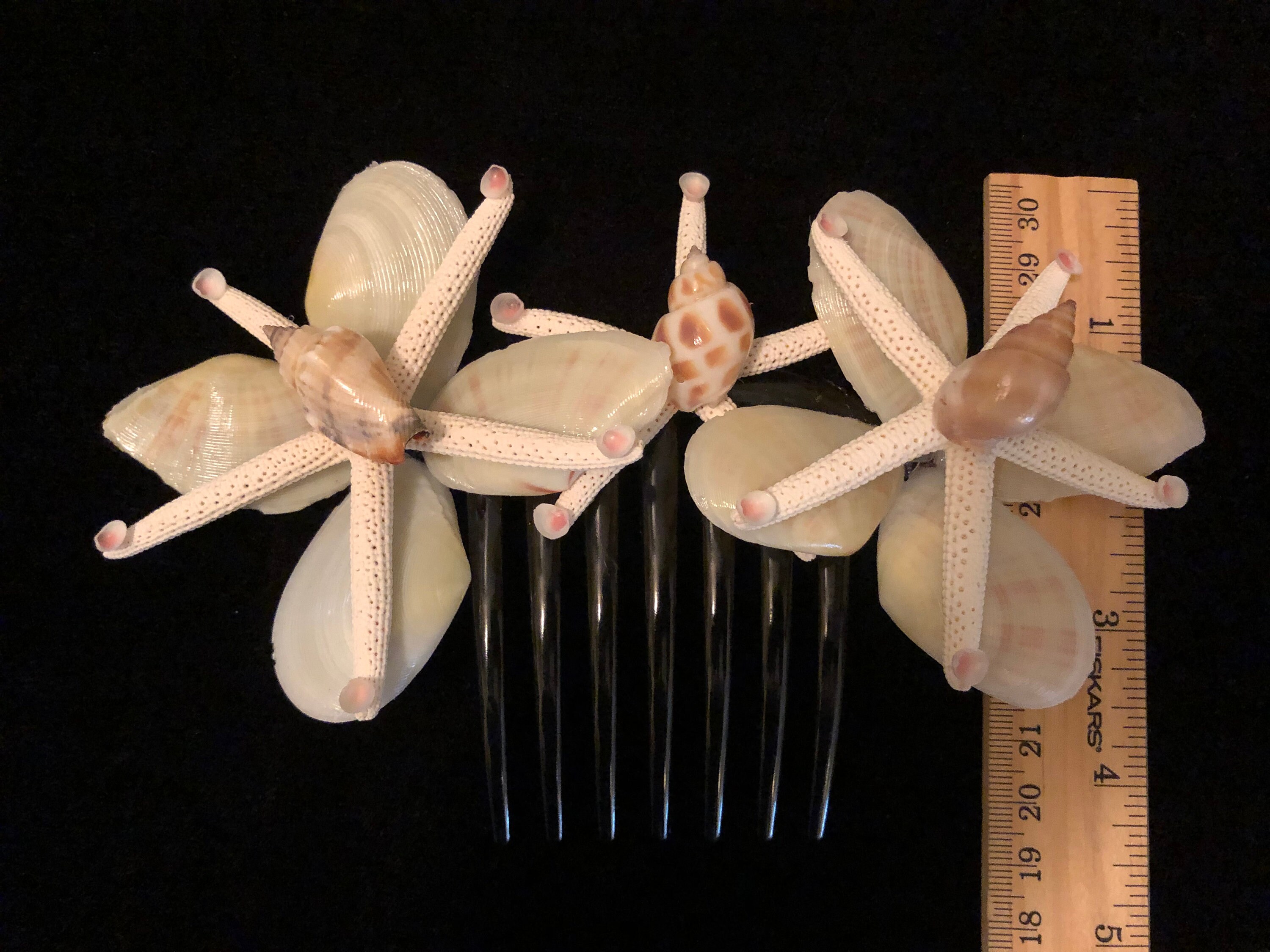 Clam Shell Butterfly French Hair Combhair Trinketsvintage | Etsy