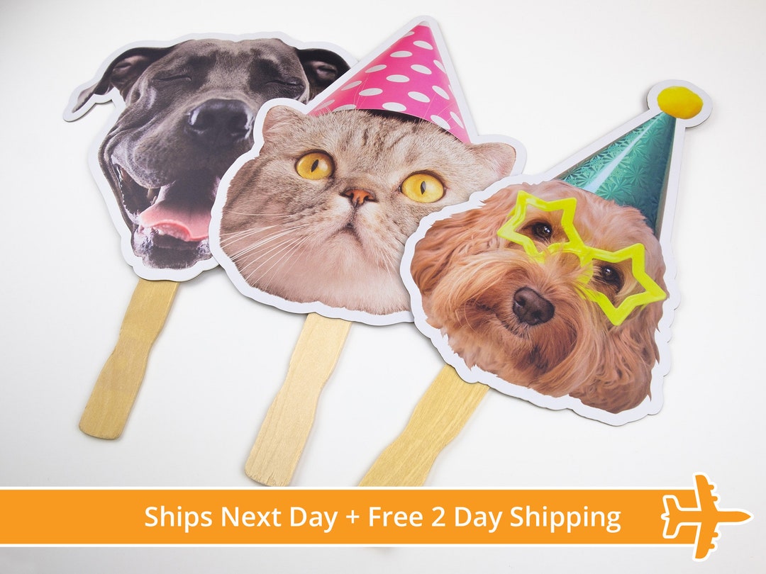 Pet's Face on A Stick, up to 23", Ships Next Day - Custom Head Cutouts ...