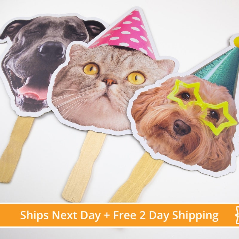 Animal and Face on Stick - Etsy