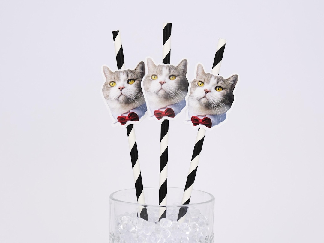 Custom Pet Photo Straws - Personalized Birthday Straws, Party ...