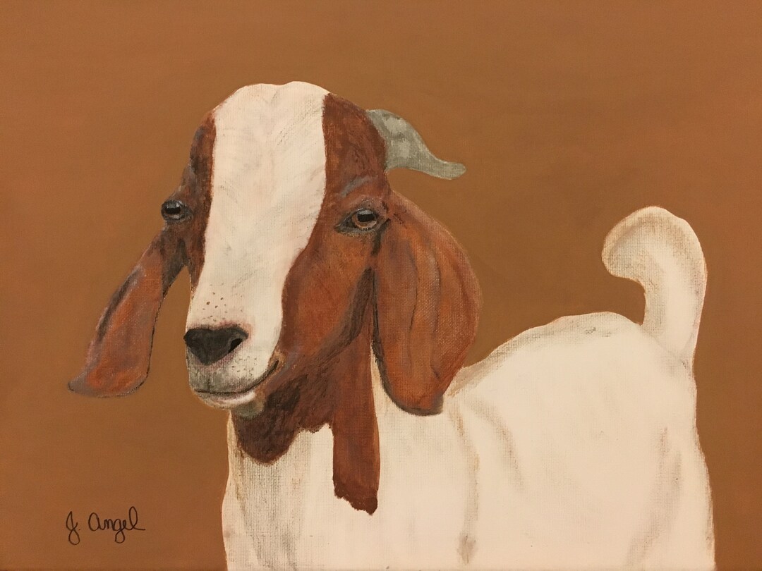 Rudy, Goat Painting, Boer Goats, Farm Animals, Farm, Pets, Goats - Etsy