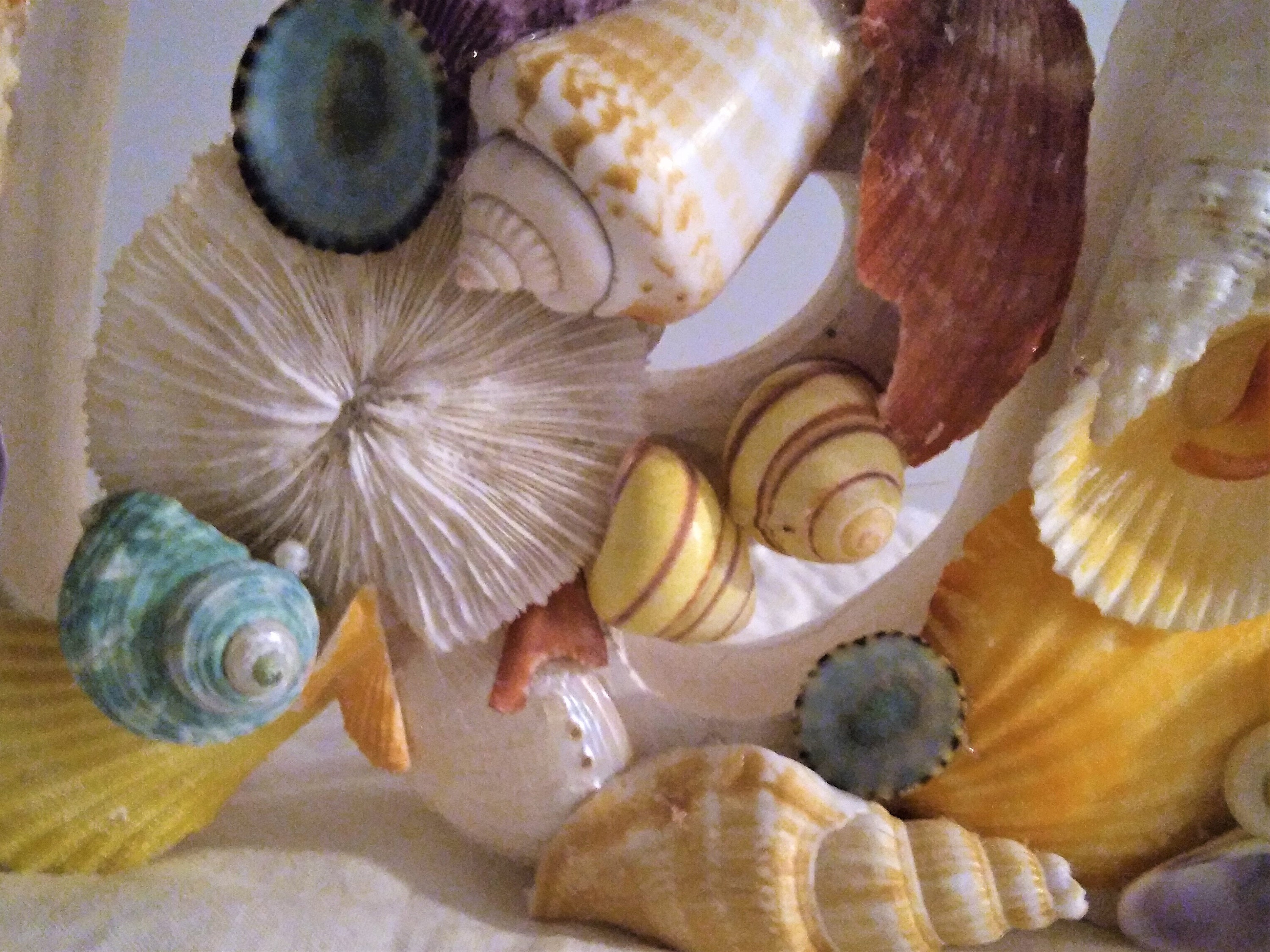 Welcome Seashell Sign Seashell Welcome Sign Coastal Decor - Etsy