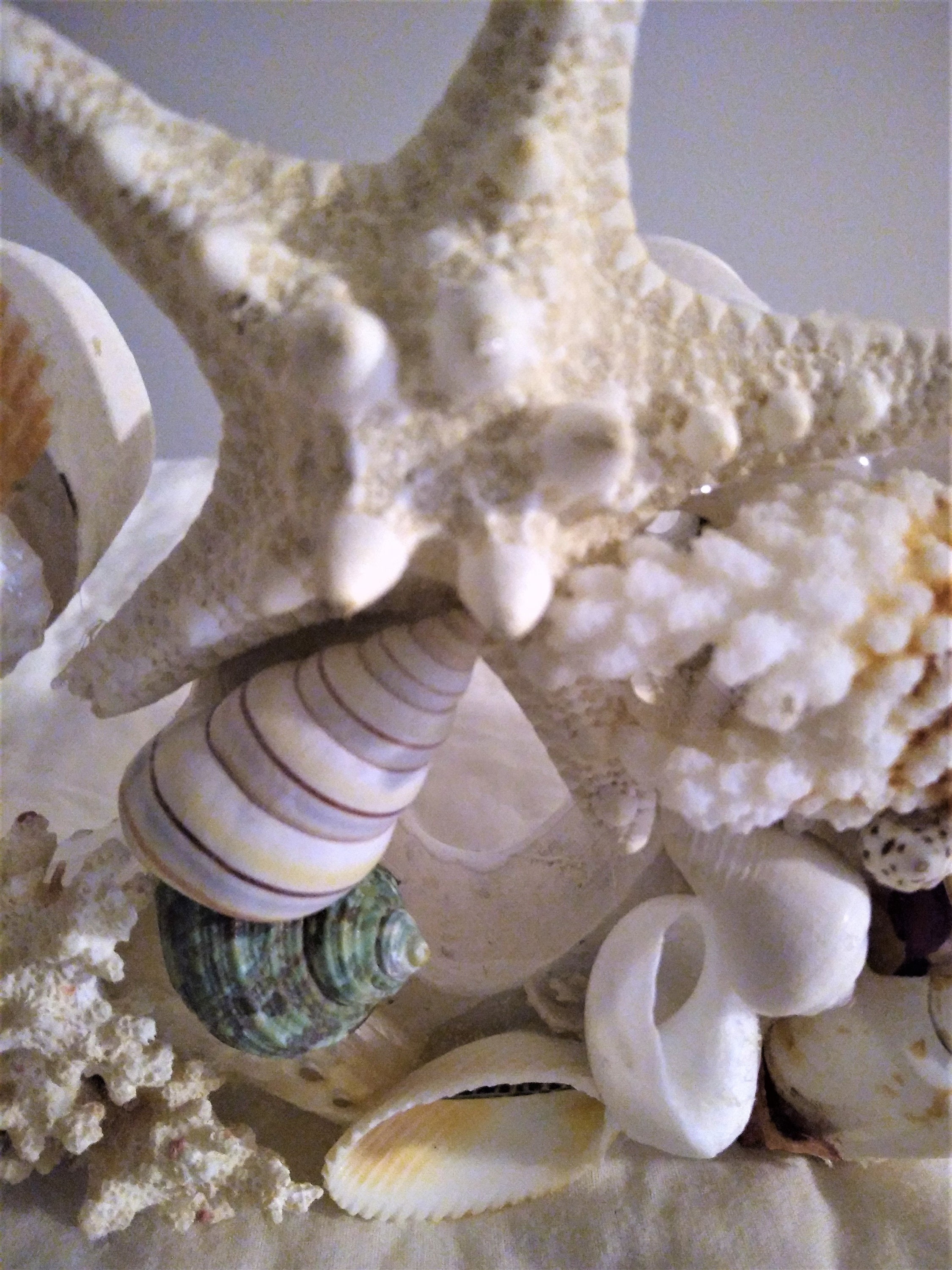 Welcome Seashell Sign Seashell Welcome Sign Coastal Decor - Etsy