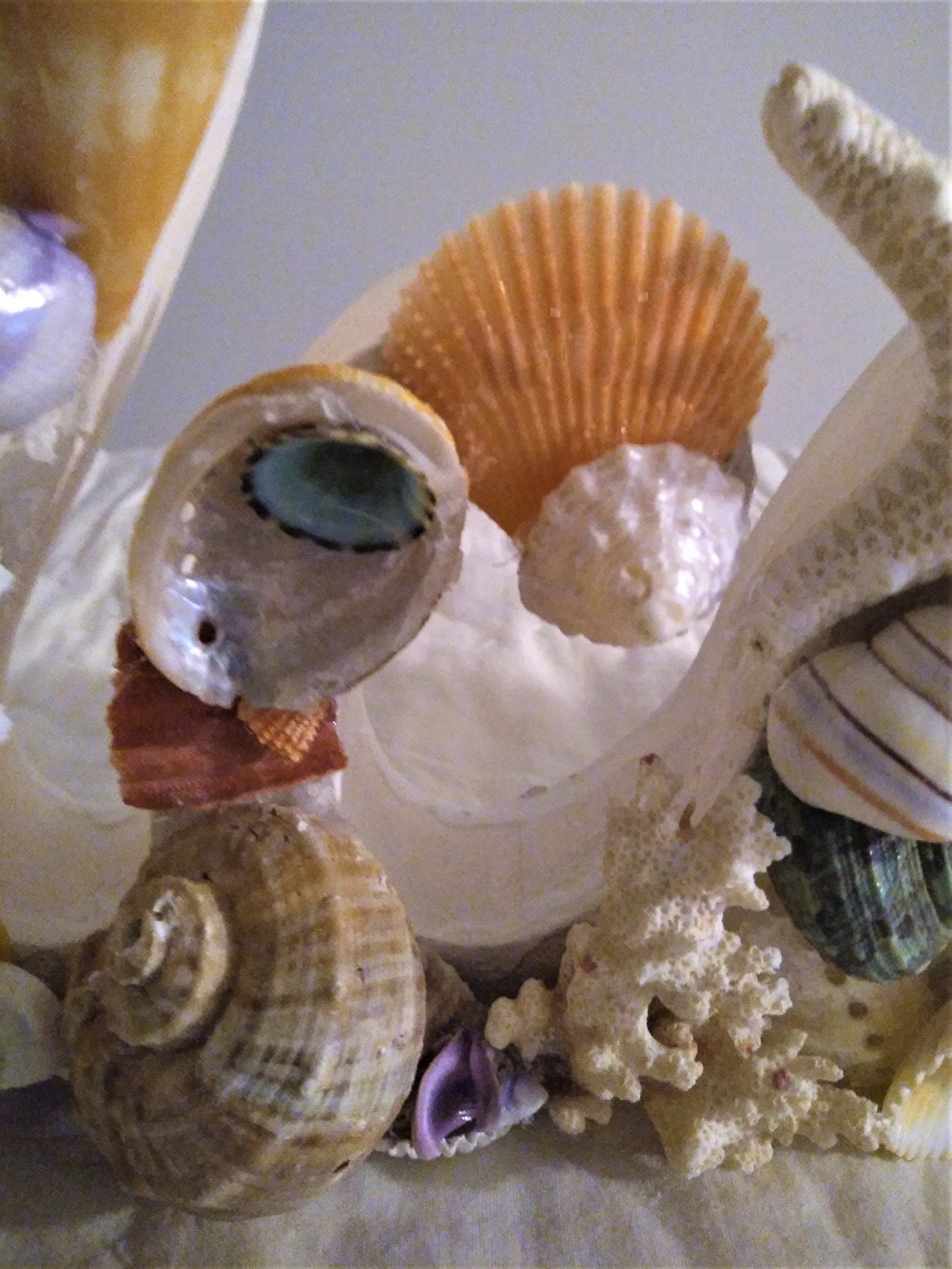 Welcome Seashell Sign Seashell Welcome Sign Coastal Decor - Etsy