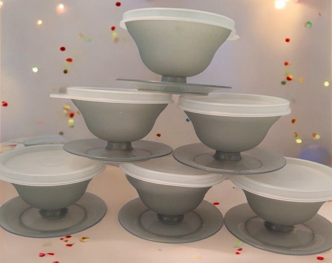 Vintage Tupperware Pudding Cups in Frosted Smoke, Set of 6 (complete ...
