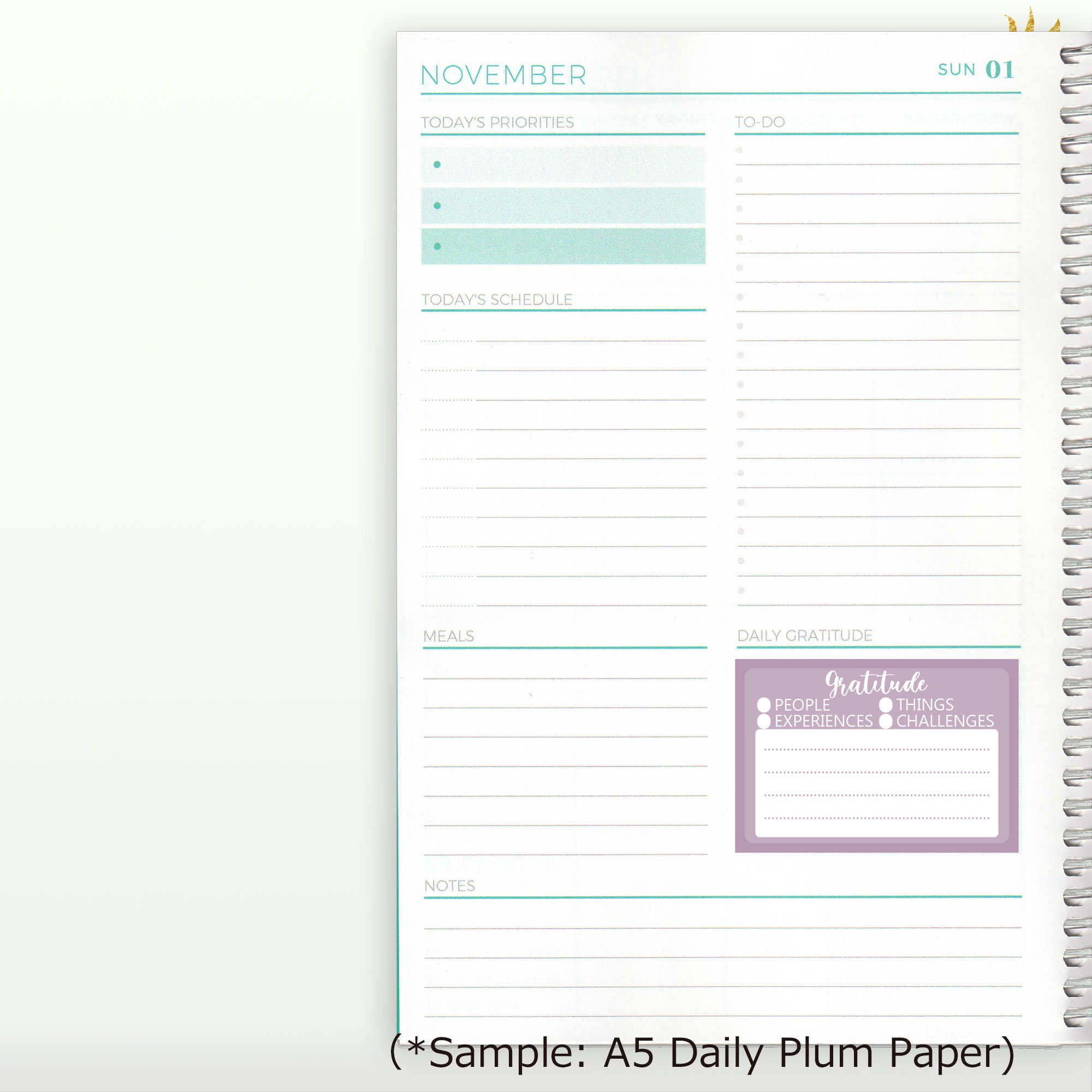 Printable Gratitude Stickers A5 7x9 8.5x11 Daily Plum - Etsy.de