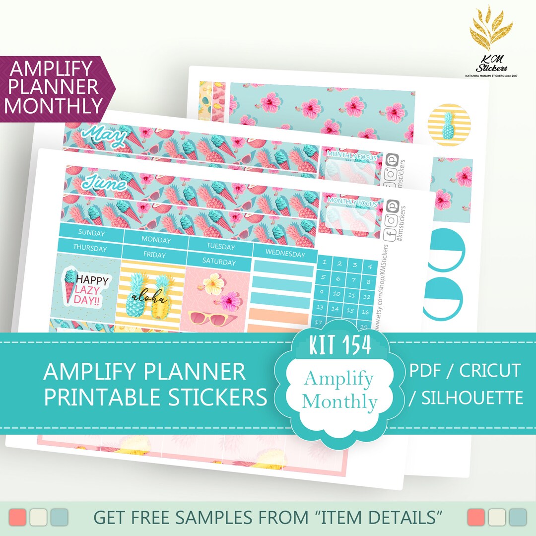 AMPLIFY KIT 154, Printable May and June Kit for Amplify Planner ...