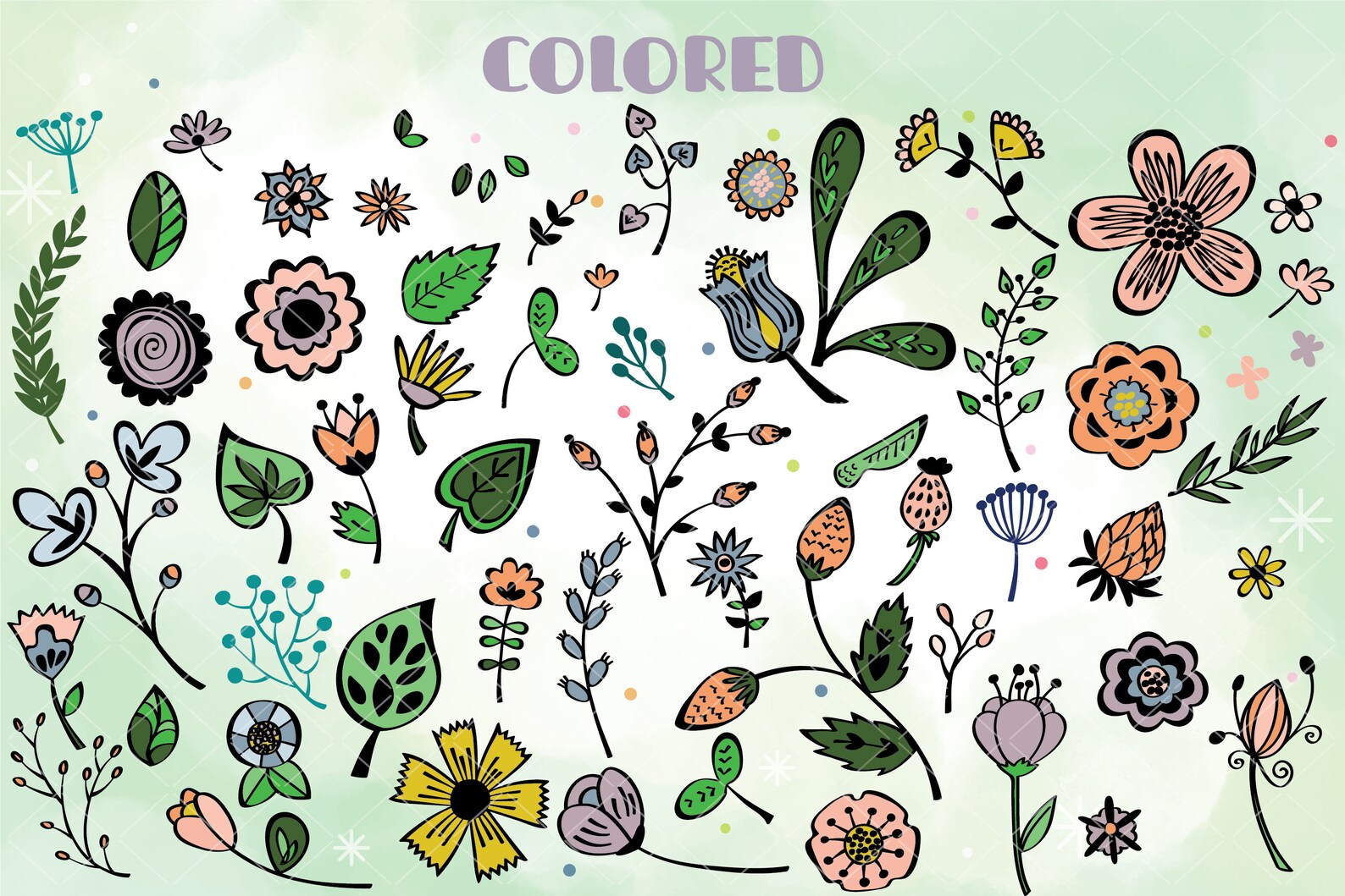 Colored Flowers & Leaves Clip Art Hand Drawn Floral Nature - Etsy