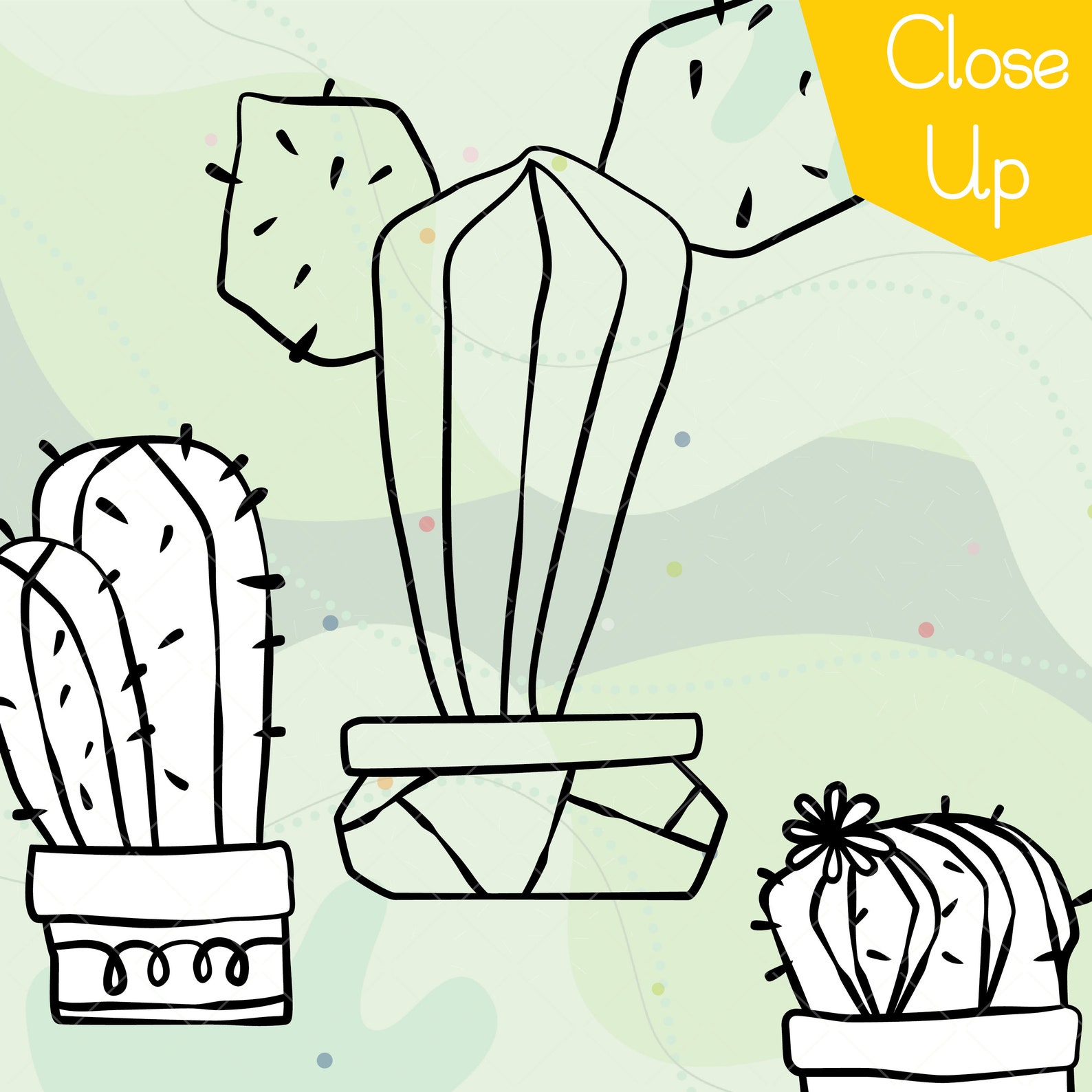 Cactus Clip Art Hand Drawn Succulent Tropical Desert - Etsy