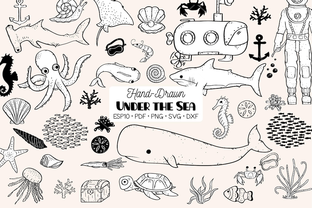 Hand-drawn Under the Sea Clipart | Fish & Ocean Life Drawing | | Png ...