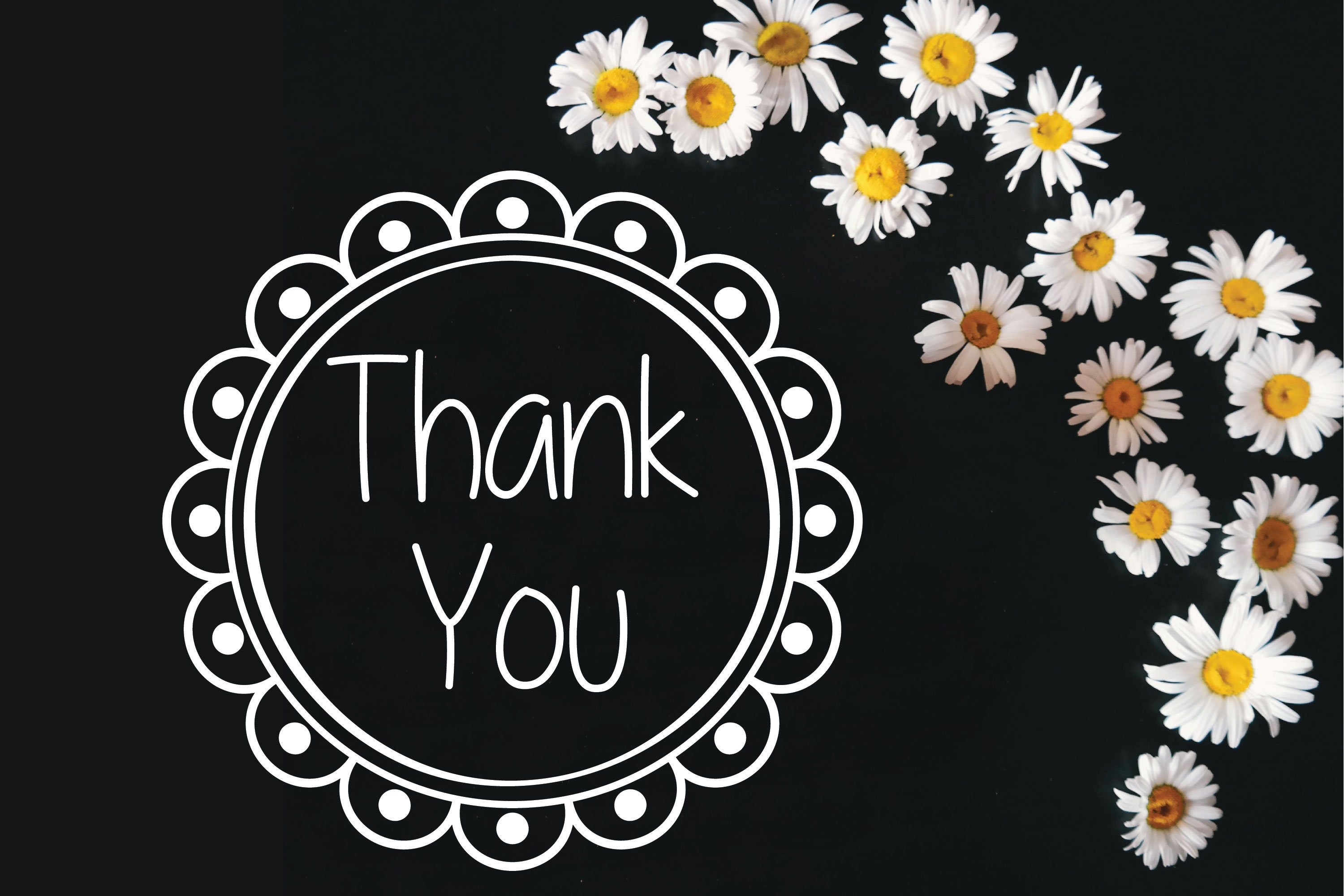 White Round Frames Hand Drawn Lines Circle Border | Etsy