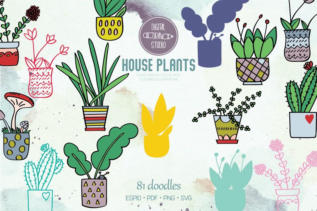 Colored House Plants Clip Art Hand Drawn Cactus in Flower - Etsy Canada