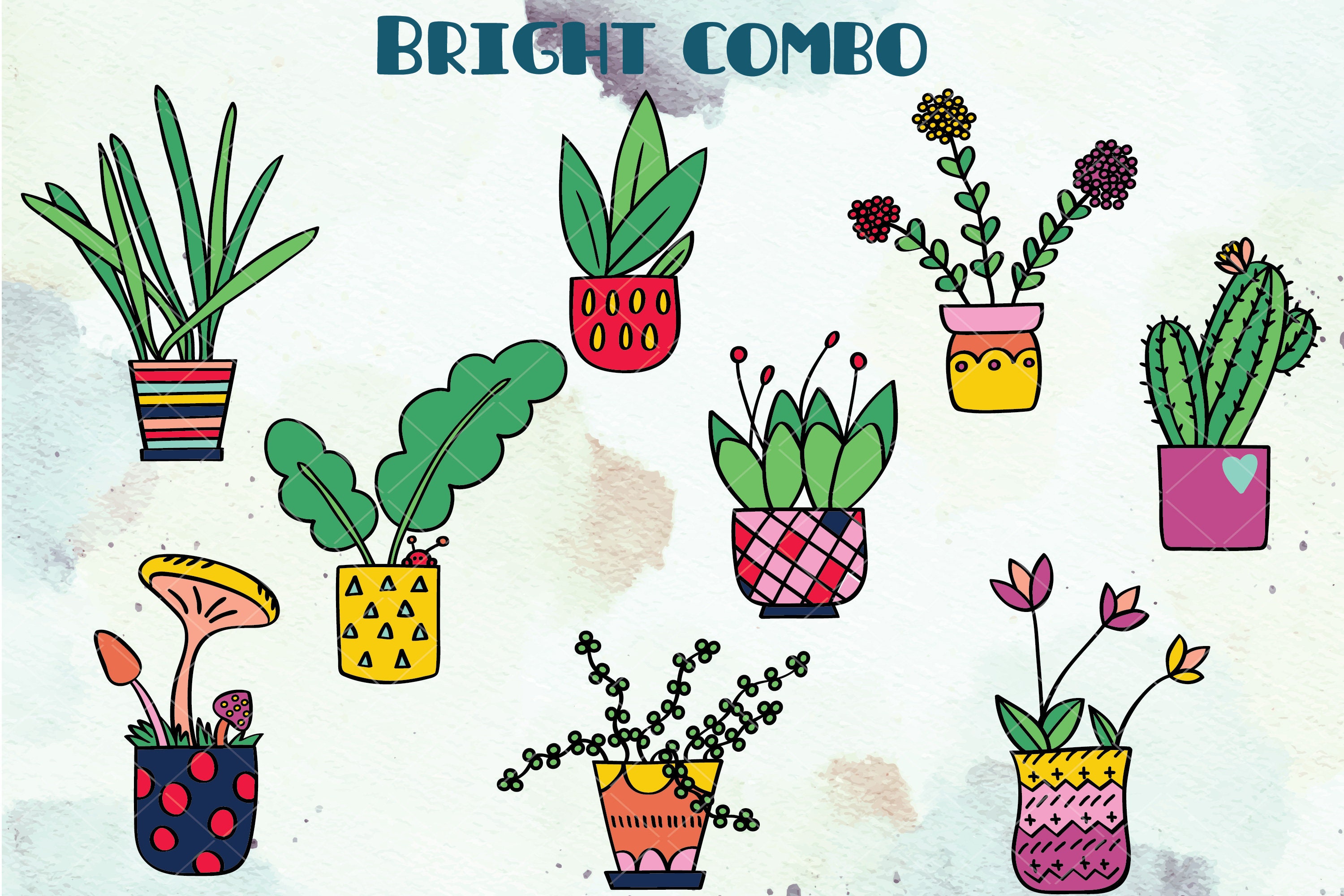 Colored House Plants Clip Art Hand Drawn Cactus in Flower - Etsy Canada