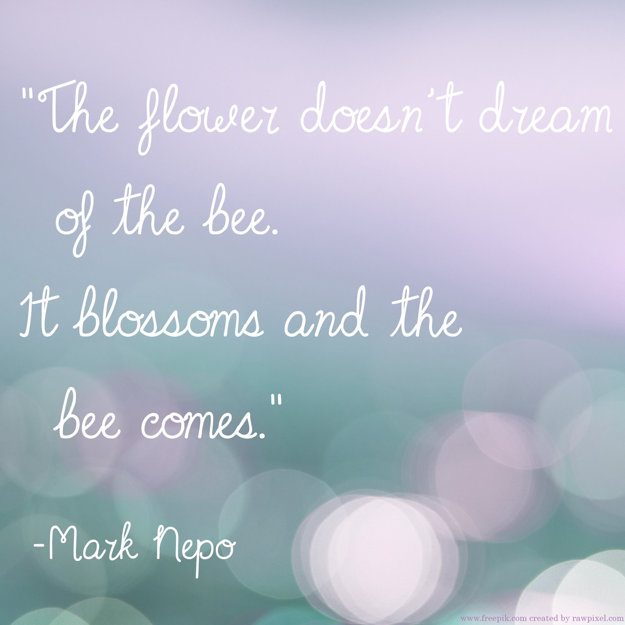 Violet Honey Bee Font Handwriting script OTF TTF File | Etsy