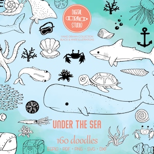 Under the Sea | Hand Drawn Fish & Ocean Life Clipart | Octopus + Shell ...