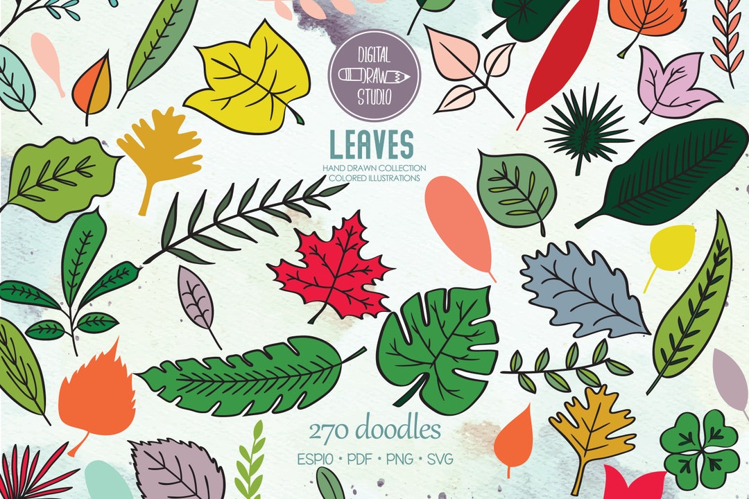 Colored Leaves Clip Art Hand Drawn Tropical Foliage, Maple, Olive ...