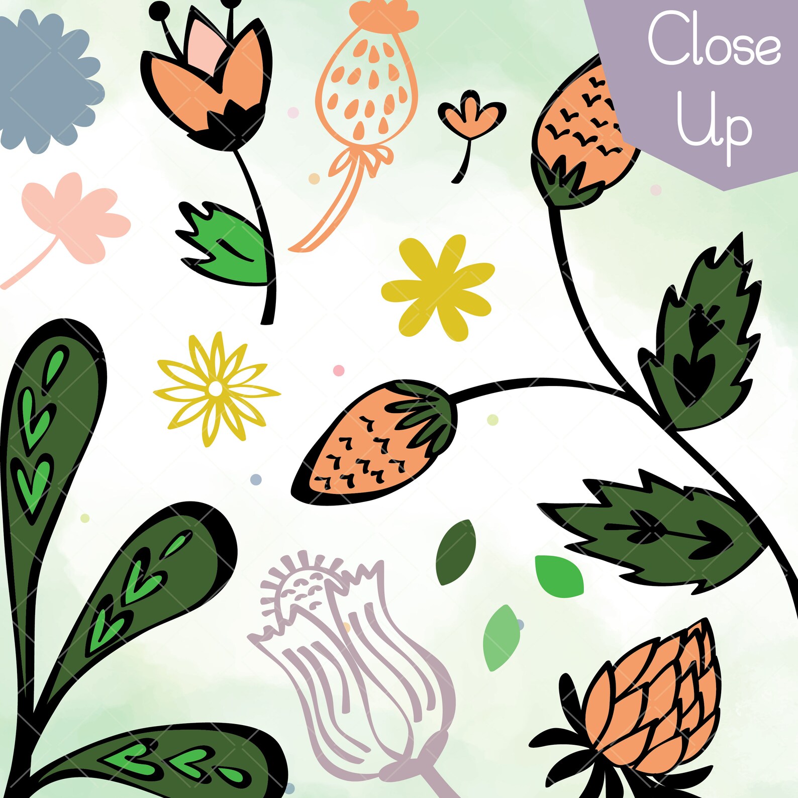 Colored Flowers & Leaves Clip Art Hand Drawn Floral Nature - Etsy