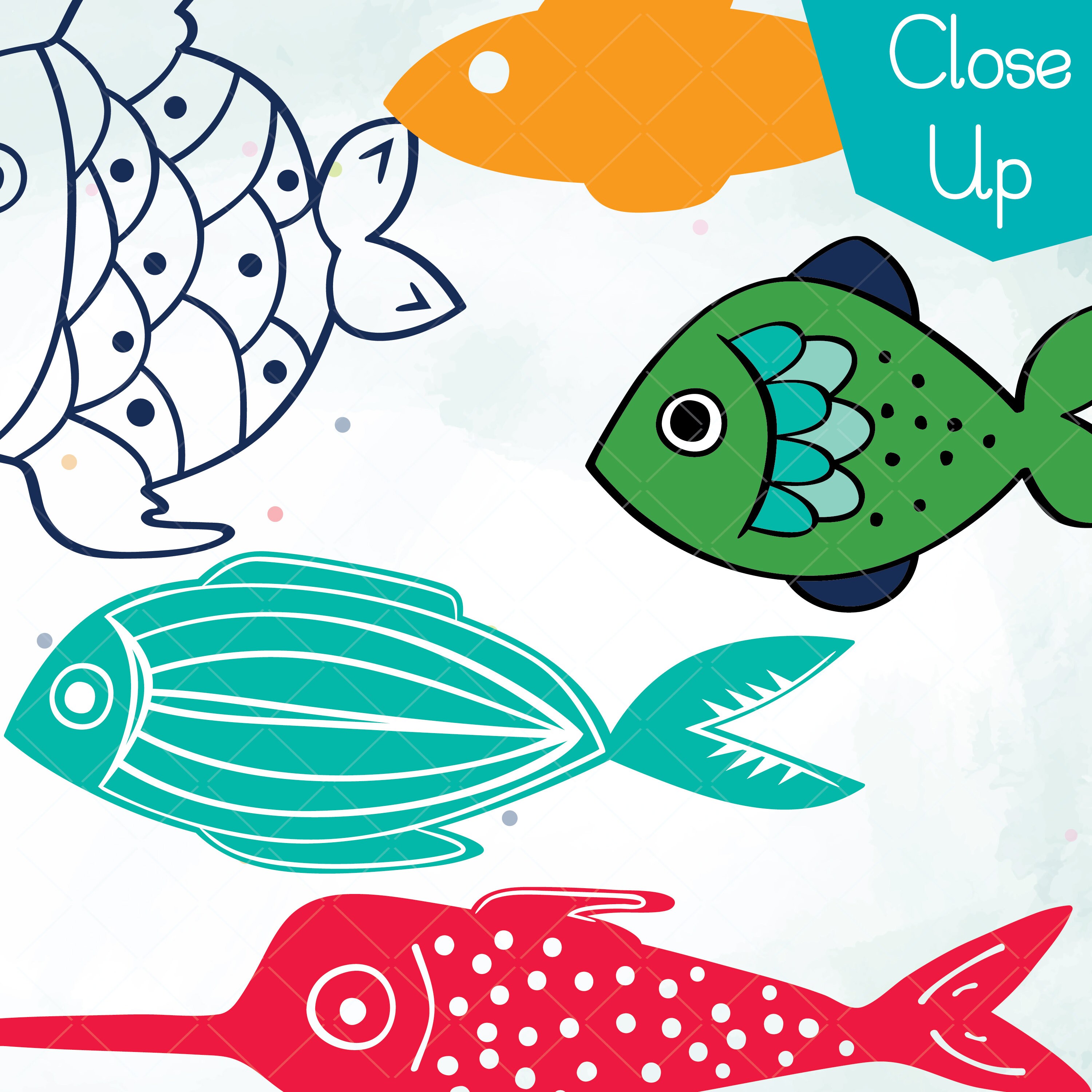 Fish Hand Drawn Graphic Colorful Tropical Animal Outline - Etsy