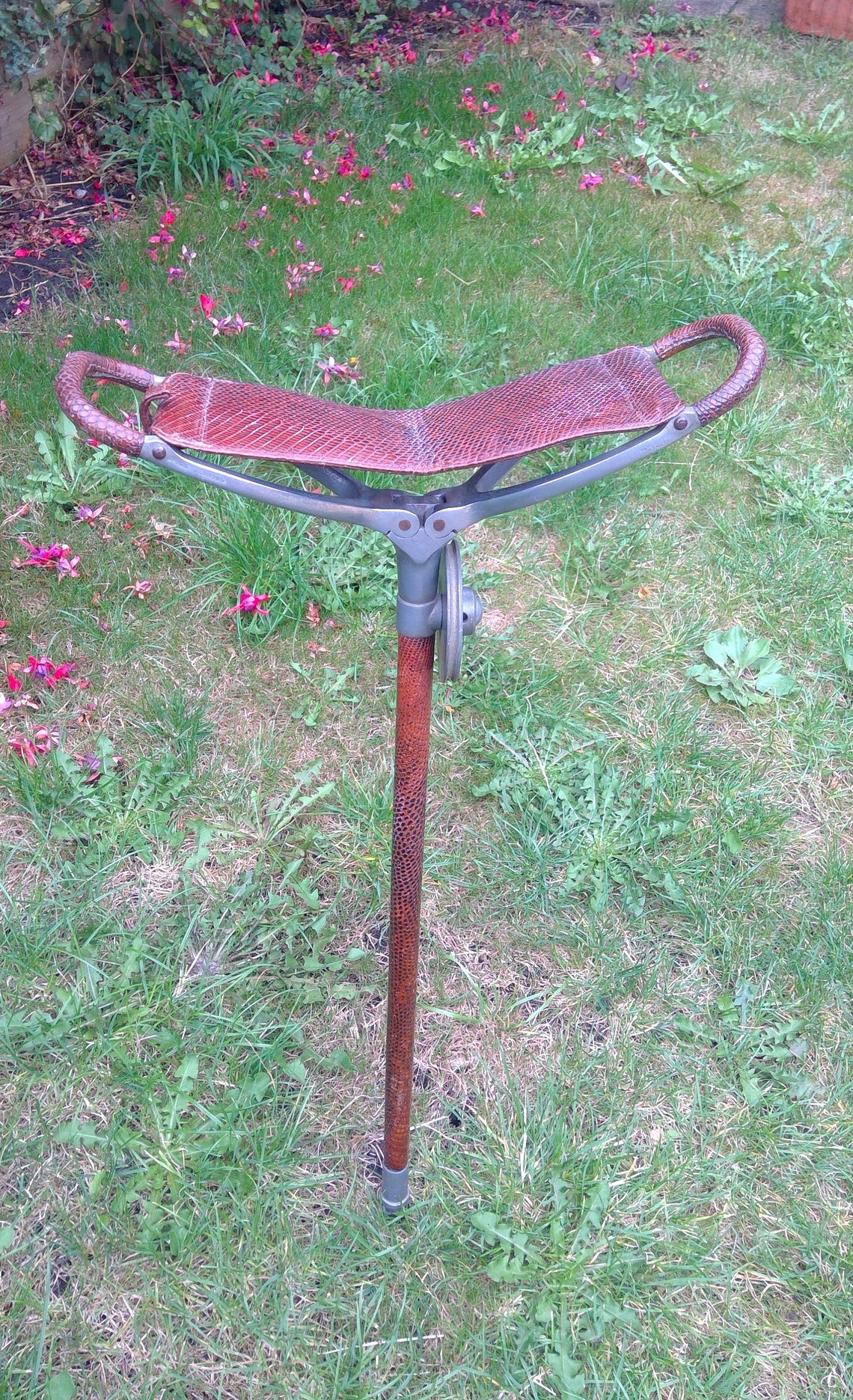 Vintage Snakeskin Shooting Stick - Etsy