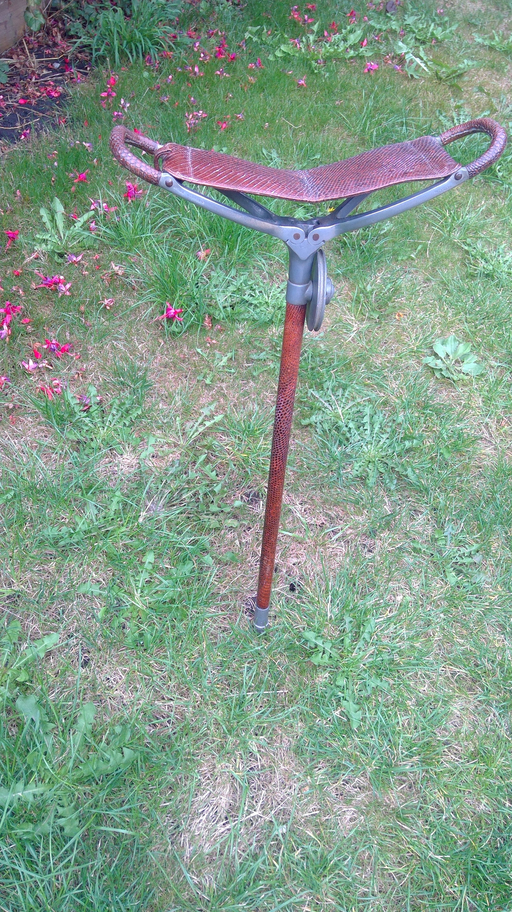 Vintage Snakeskin Shooting Stick - Etsy