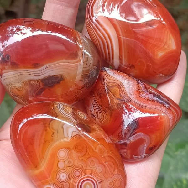 Red Agate Jewelry - Etsy
