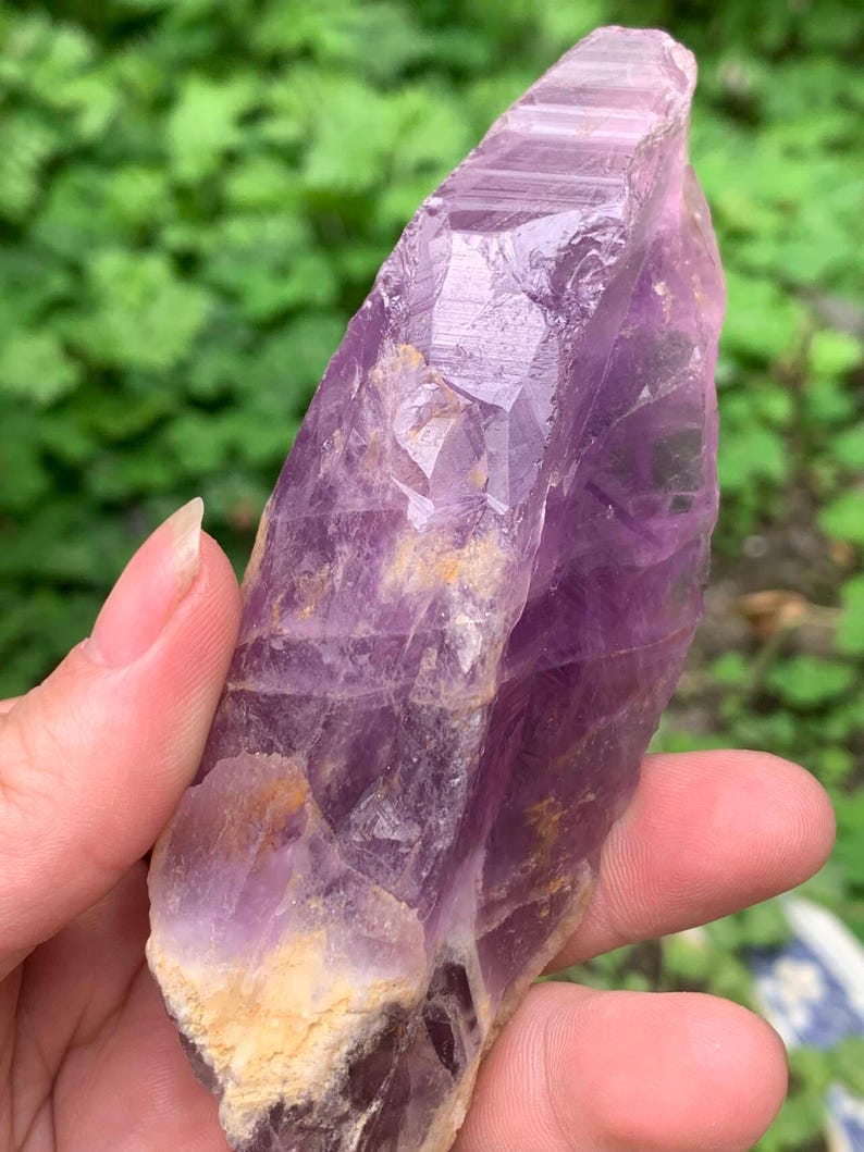 Raw Amethyst Scepter Crystal Wand, Natural Skeletal Quartz, Brazilian ...