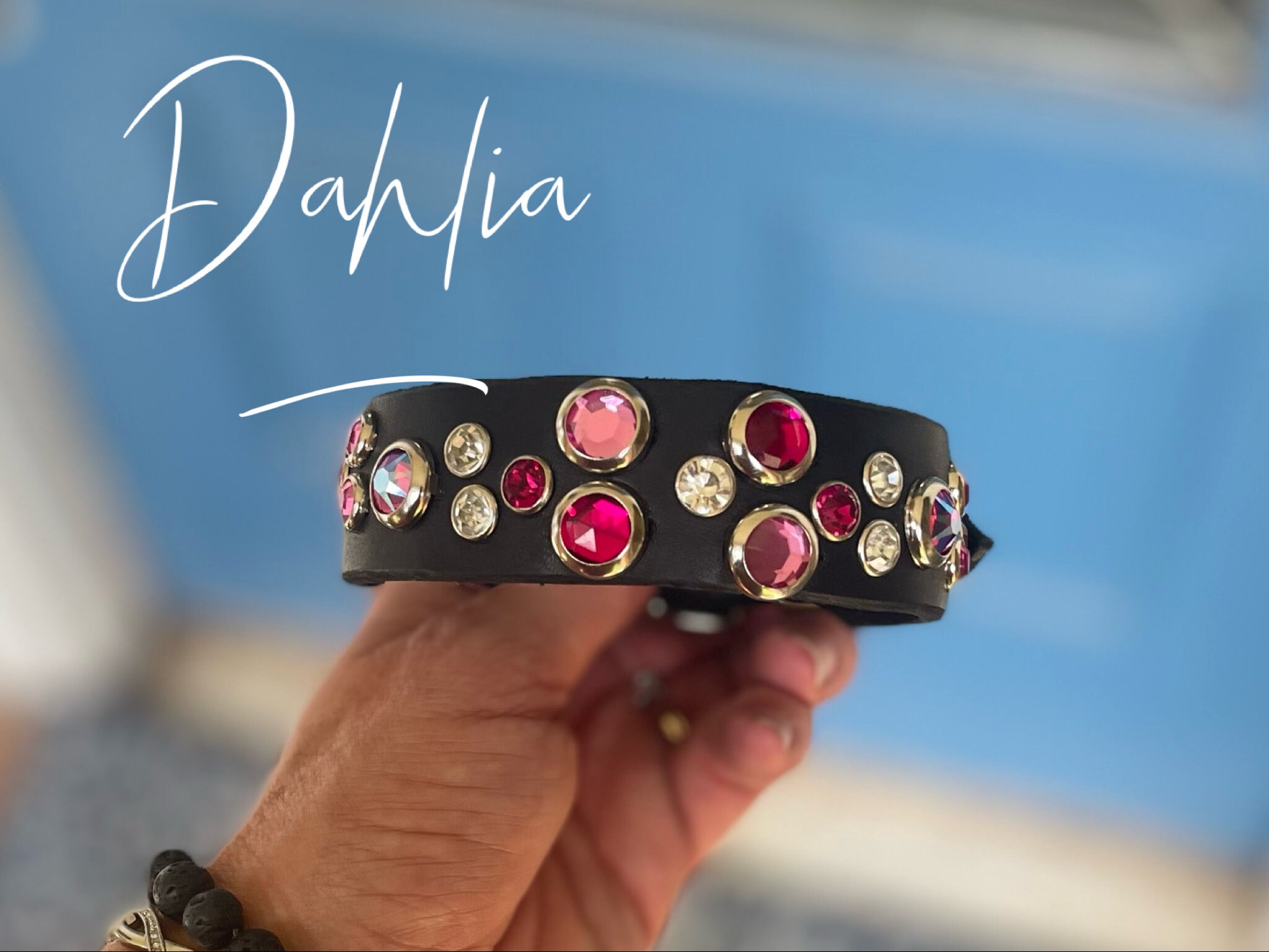 Dahlia black leather dog collar with pink diamond rhinestone crystal ...