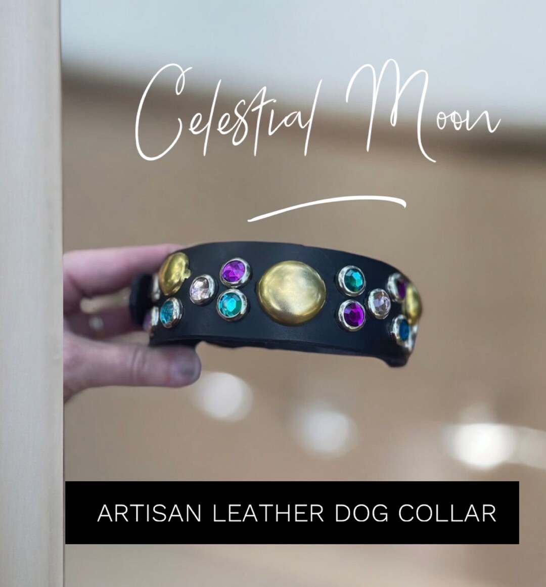Unique Celestial Moon Pattern Leather Dog Collar Personalized Silver ...