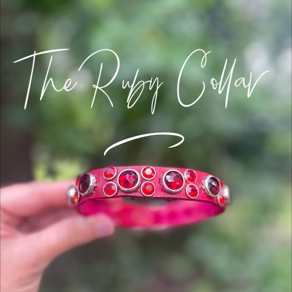 Female Dog Collar - Etsy