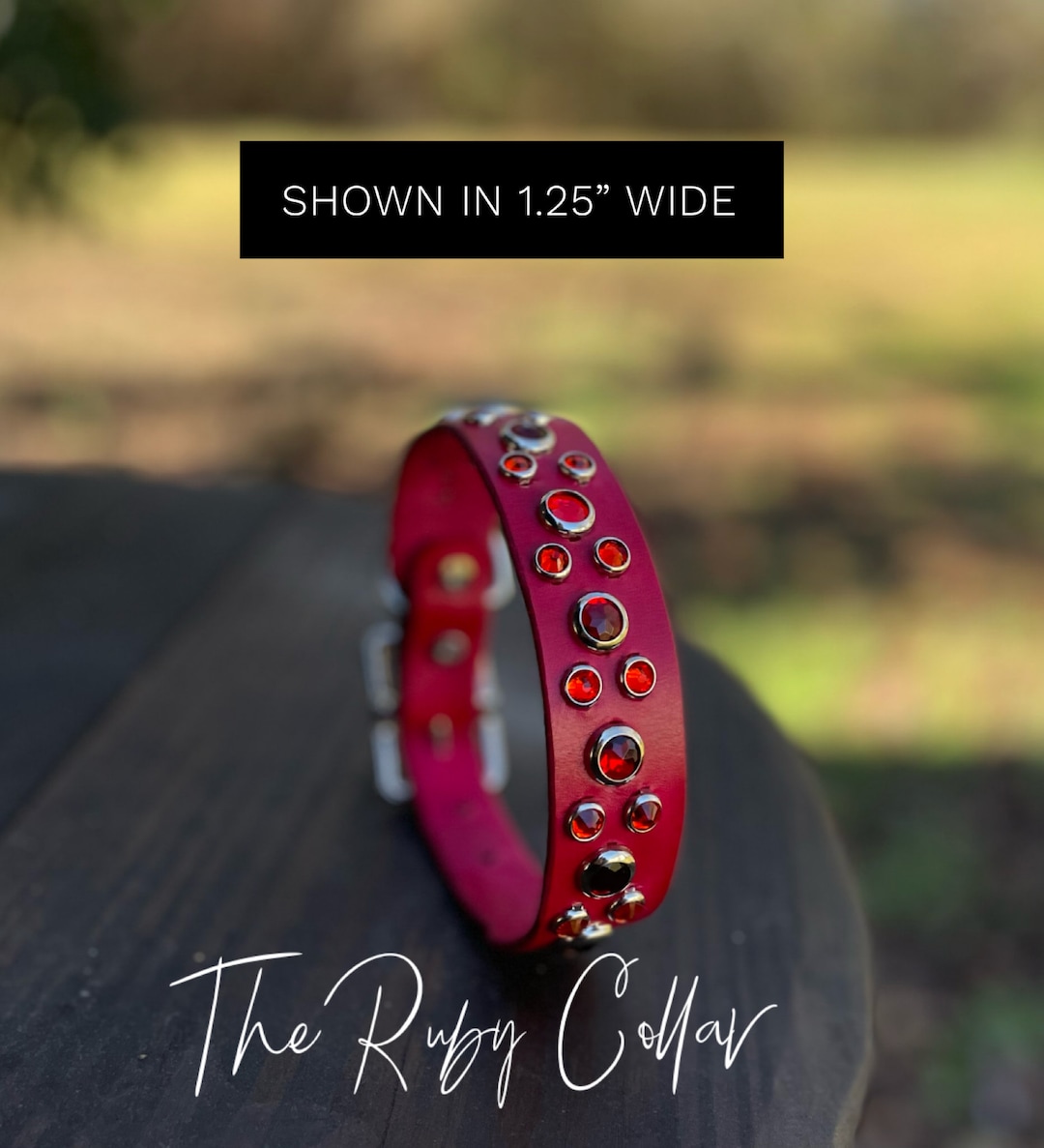 The Ruby Collar With Red Leather and Red Rhinestone Crystal-beautiful ...