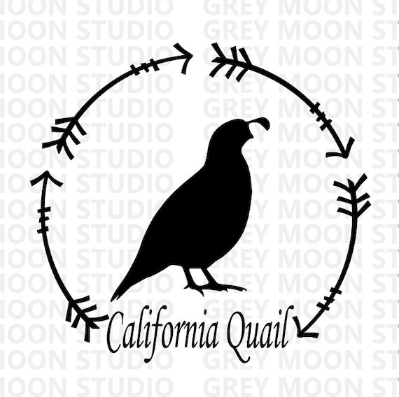 H California Quail Quail Circle of Arrow Wood Badge | Etsy