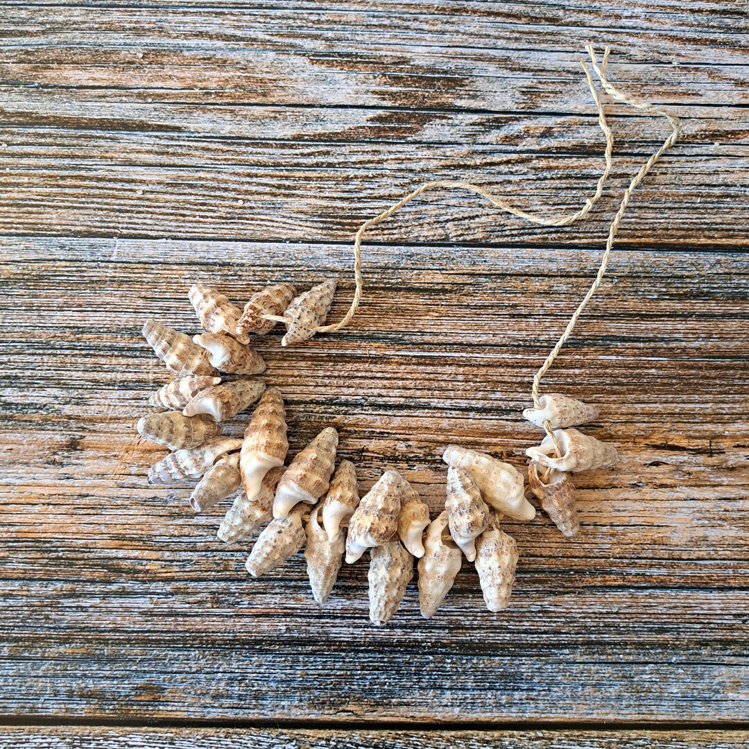 75 Grams, Shells Strung on String, Sea Shell Drilled, Shells for Art ...