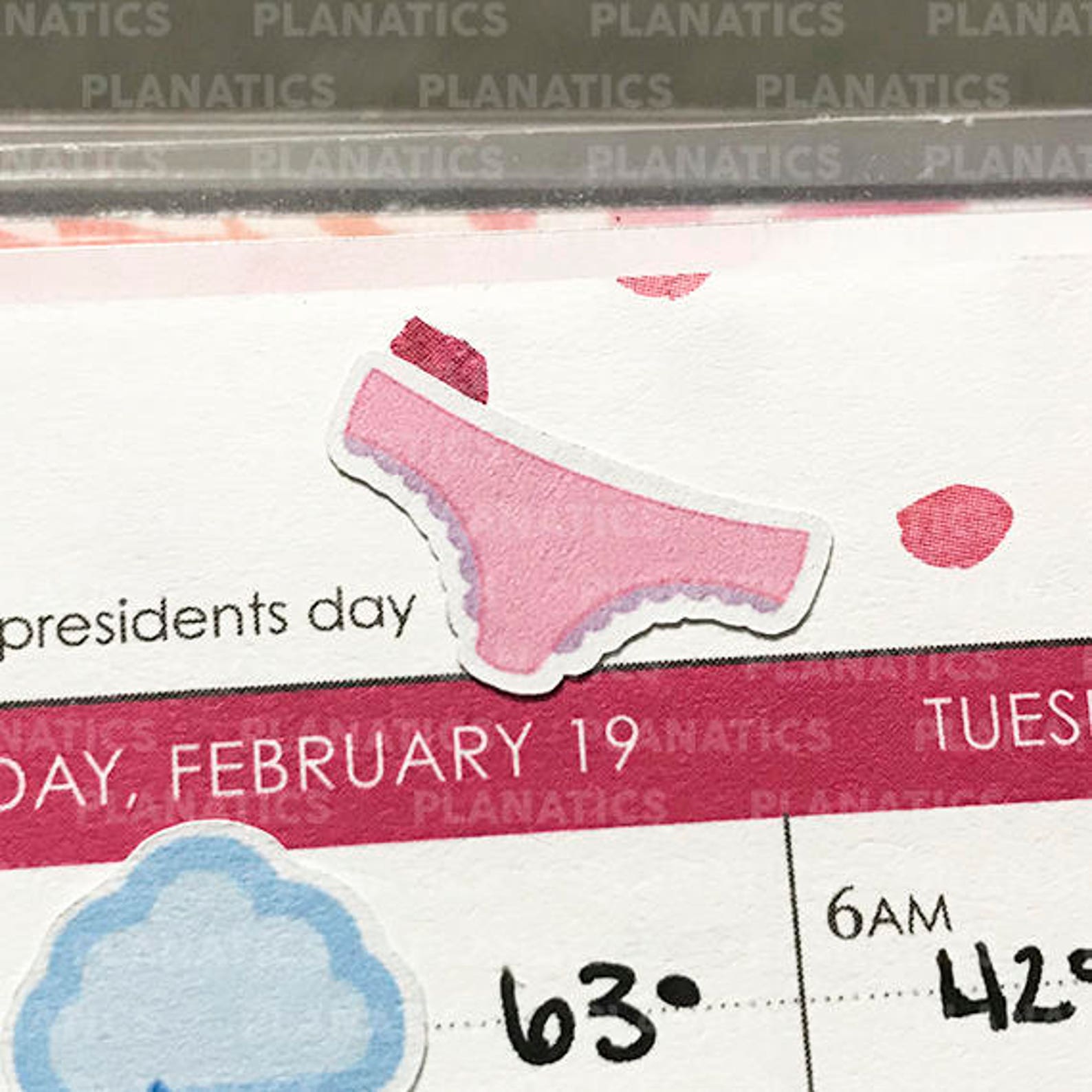 Panty Stickers Laundry Period Sex Chore Tracker Printable Planner Stickers Digital Download 
