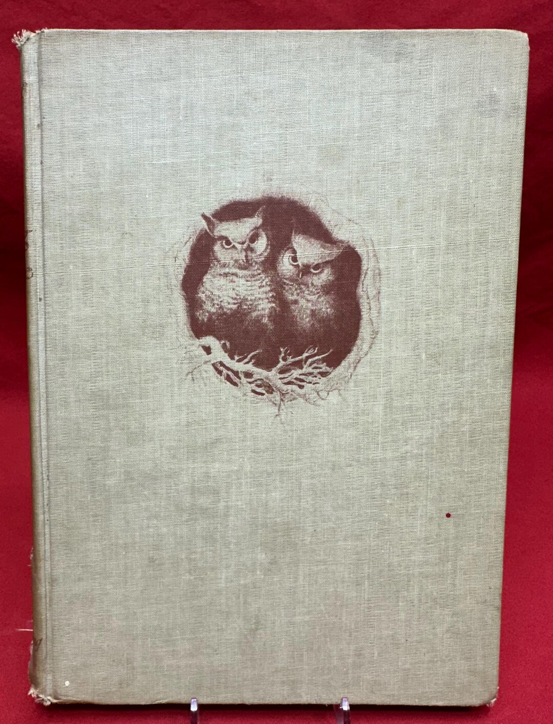 Vintage Big Tree, Mary and Conrad Buff, Illustrated , Published by ...