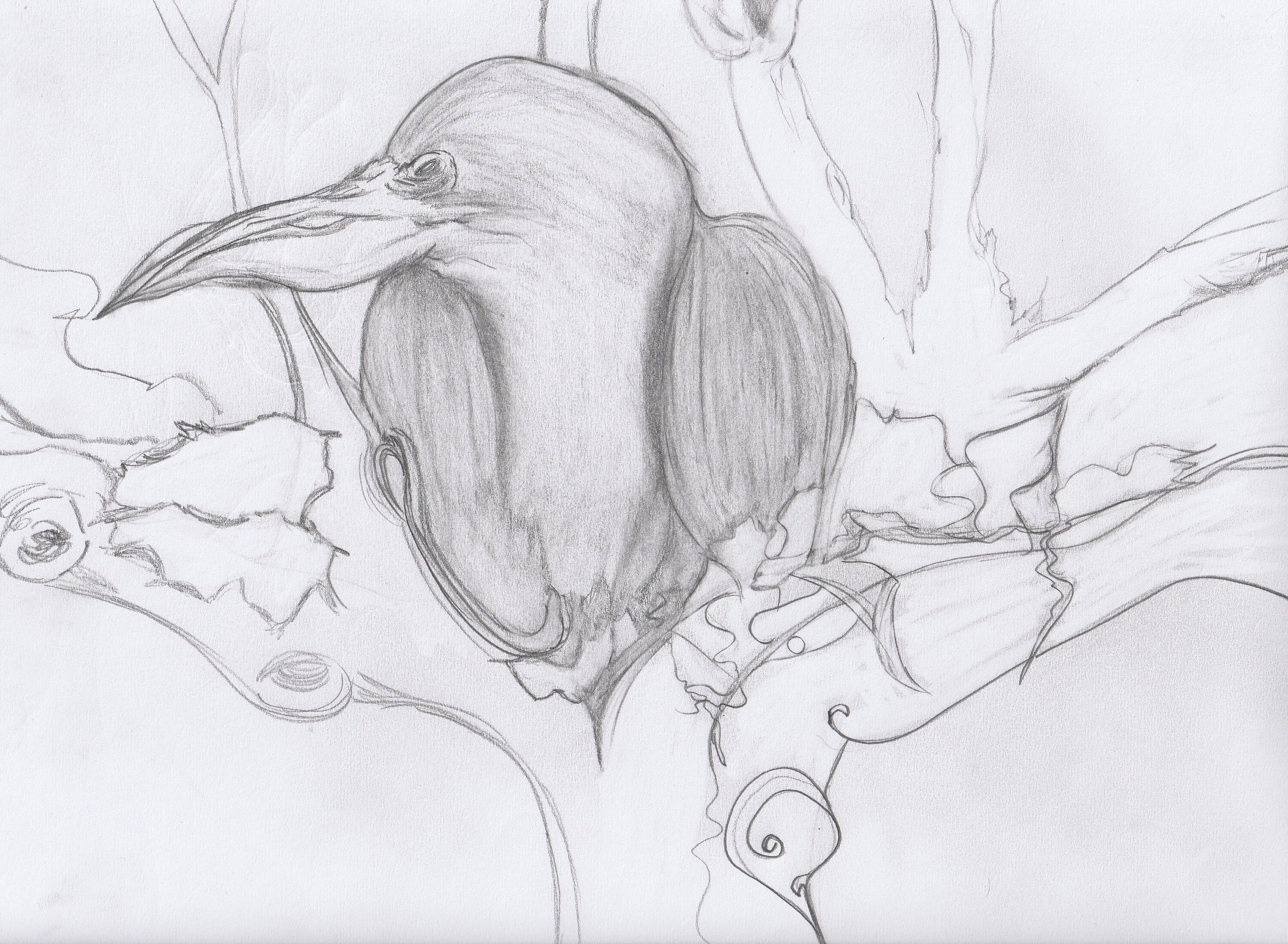 Crow Transparent PNG Graphic - Etsy