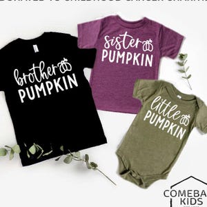 Fall First Birthday Shirt, Family Fall Birthday Shirts, Fall 1st ...