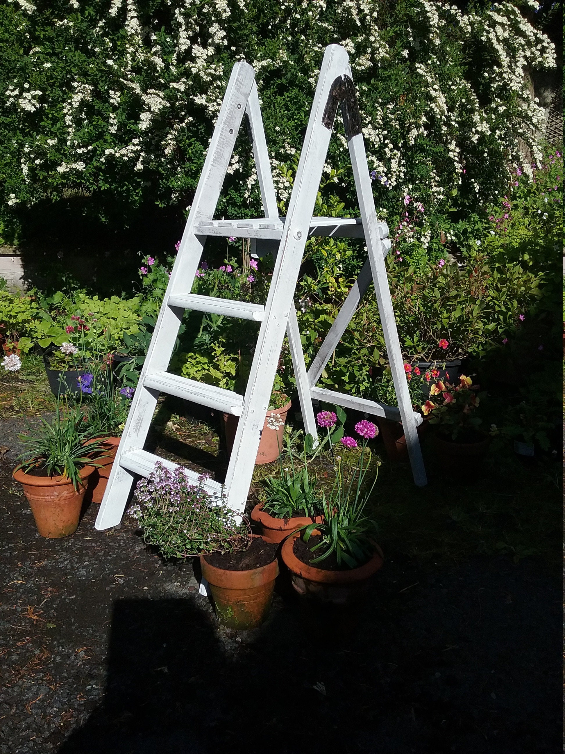 Vintage Stepladder, Painted Stepladder, Folding Ladder, Wooden Ladder ...
