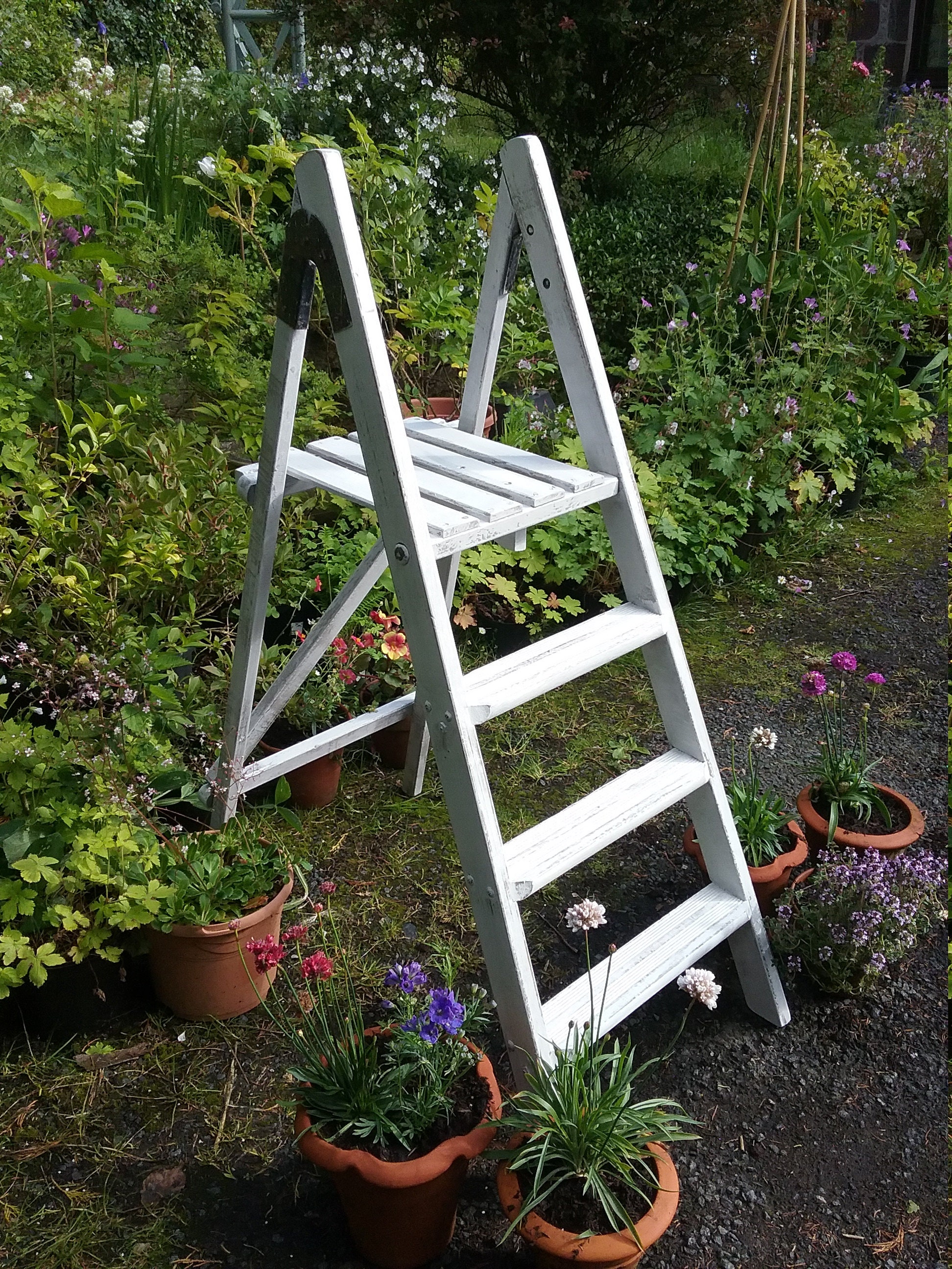 Vintage Stepladder, Painted Stepladder, Folding Ladder, Wooden Ladder ...