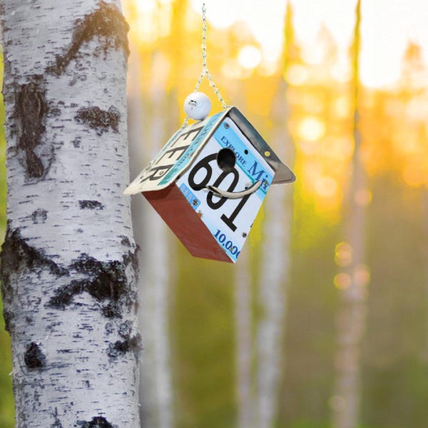 License Plate Bird Feeder - Etsy