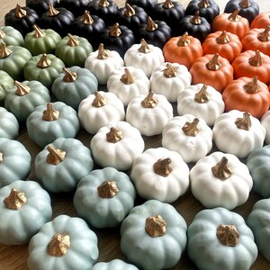 Personalised Pumpkin | Mini Pumpkin Decor | Halloween Pumpkins ...