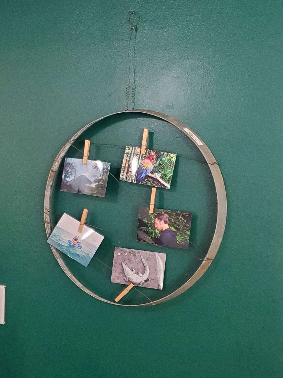 Authentic Wine Barrel Hoop Picture Holder / Picture Display / Picture ...