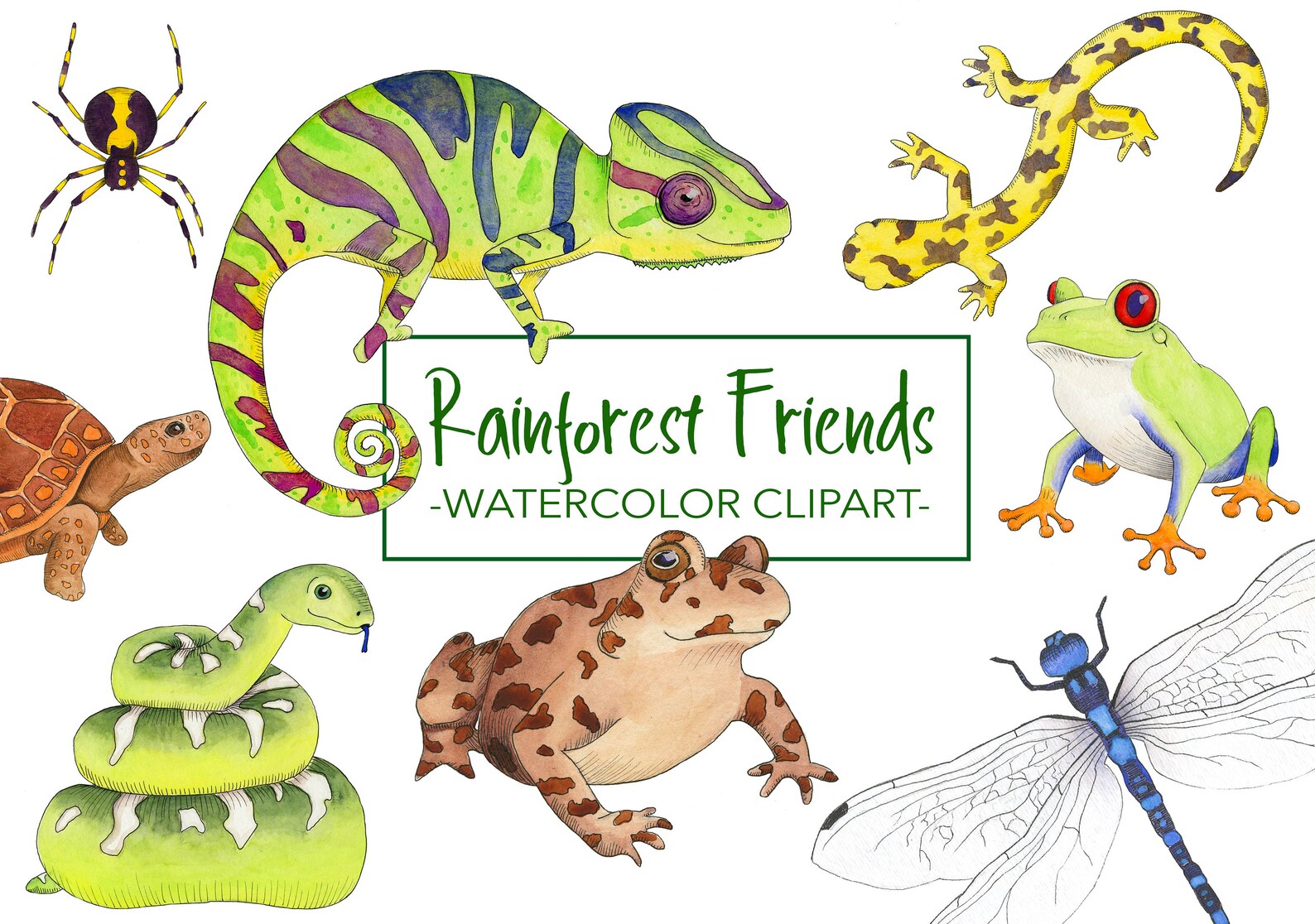 Watercolor Clipart - Animal Clipart - Watercolor Animal Clip Art ...