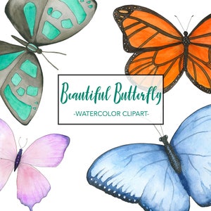 Butterfly Clipart - Butterflies Clipart - Spring Clipart - Butterfly ...